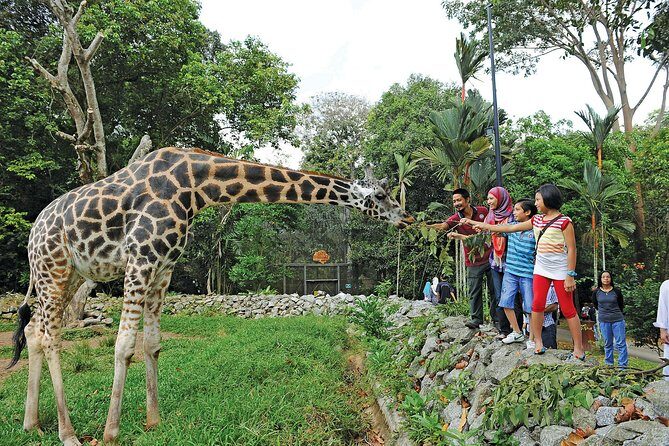 Malacca Zoo & Crocodile Park Tour from Kuala Lumpur with Lunch - An In-Depth Look at the Tour Experience