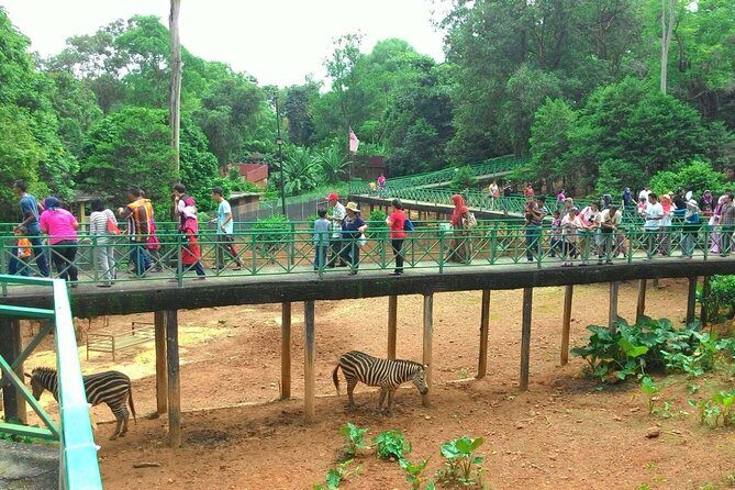 Malacca Zoo & Crocodile Park Tour from Kuala Lumpur with Lunch - The Sum Up