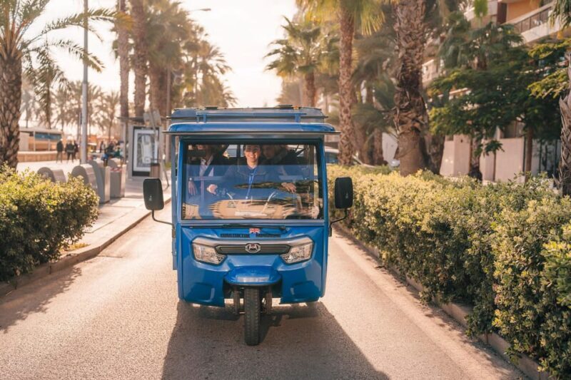 Málaga 1-hour by TukTuki: Essential and Private Tour - Who Should Consider This Tour?