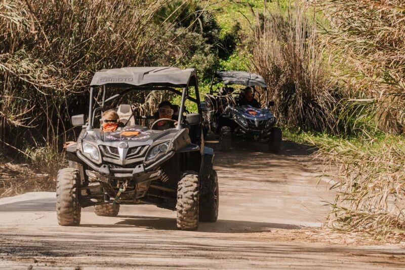 Málaga: 1-Hour Off-Road Buggy Adventure in Mijas - Authentic Experiences and Customer Feedback