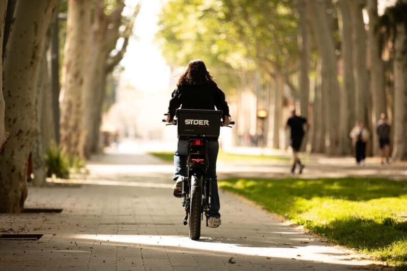 Malaga: 4 hours E-Fatbike with Helmet and Lock - The Ride Experience and Real-World Insights
