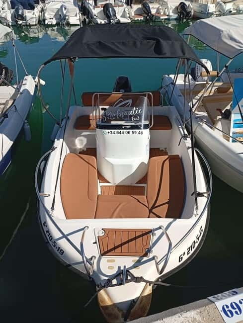 Malaga: 6-Seater Speedboat License-free Boat Rental - The Magic of Dolphin Watching and Sunset Views