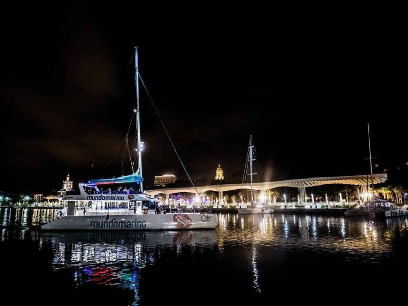 Malaga: A Sea of Stars Nighttime Stargazing Catamaran Tour - Key Points