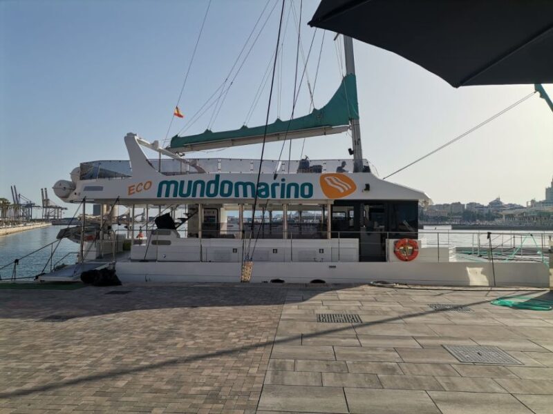 Malaga: A Sea of Stars Nighttime Stargazing Catamaran Tour - What to Expect on the Malaga Night Sky Catamaran