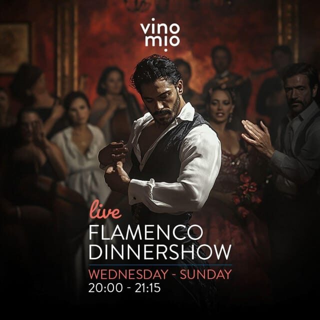 Malaga: Authentic Flamenco Dinner Show at Vino Mio - Malaga: Authentic Flamenco Dinner Show at Vino Mio – An Enthusiast’s Perspective