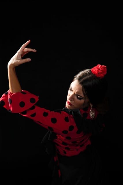 Malaga: Authentic Flamenco Dinner Show at Vino Mio - The Experience: What to Expect on the Night