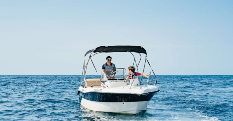 Malaga: Boat Rental without a License for Dolphin Watching - Key Points