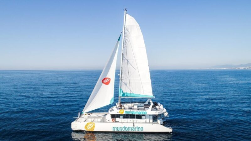 Malaga: Catamaran Sailing Trip with Sunset Option - Breakdown of the Tour Experience