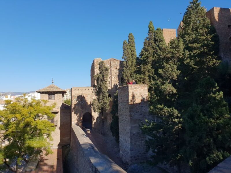 Málaga: Cathedral, Alcazaba, Roman Theater Walking Tour - Authentic and Enthusiastic Guides