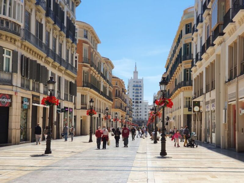 Málaga: Cathedral, Alcazaba, Roman Theater Walking Tour - Who Will Love This Tour?