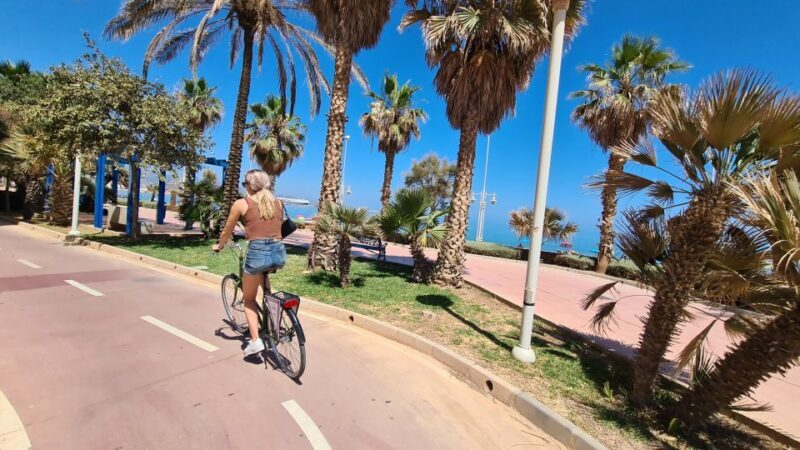Malaga: City Bike Rental with Self-Guided Cycling Route - The Sum Up