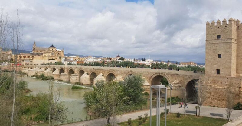 Málaga: Cordoba Day Trip and Optional Mosque-Cathedral Entry - Key Points