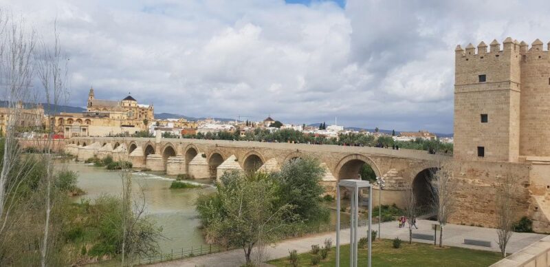 Málaga: Cordoba Day Trip and Optional Mosque-Cathedral Entry - An Authentic Day in Córdoba: What You Can Expect