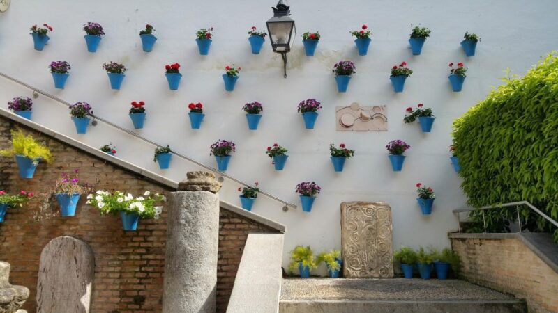 Málaga: Cordoba Day Trip and Optional Mosque-Cathedral Entry - The Sum Up