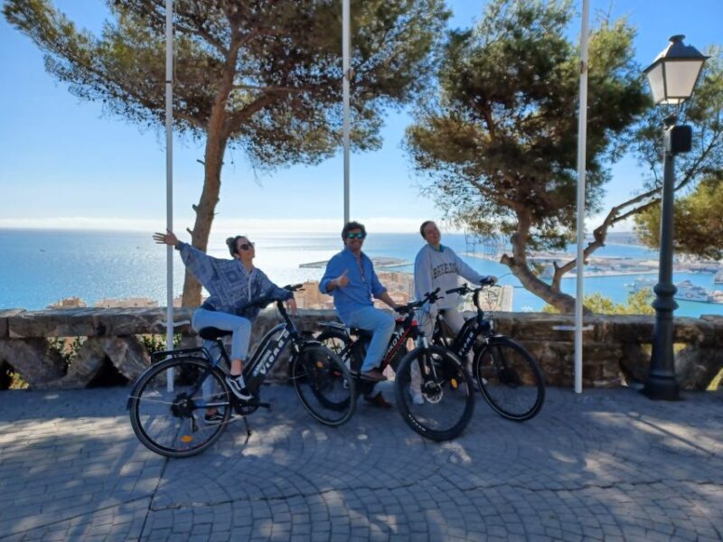 Málaga E-Bike Tour with Full Day Rental - The Practical Side: Comfort, Safety, and Group Size