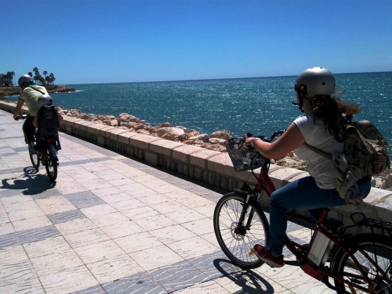 Málaga E-Bike Tour with Full Day Rental - The Sum Up: Who’s It Best For?