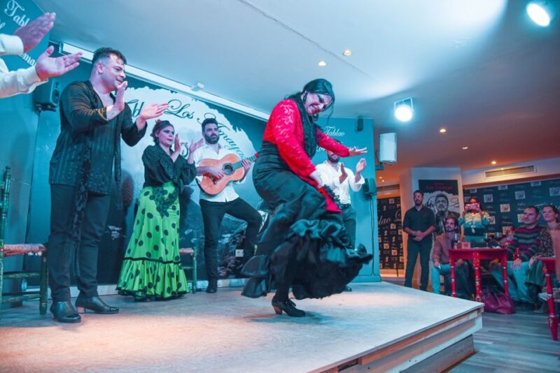 Malaga: Flamenco, Tapas, and Wine Tour - Key Points