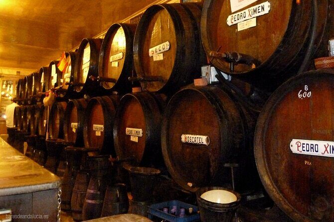 Malaga Gastronomy Tour Wines and Spanish Tapas - Exploring the Malaga Gastronomy Tour in Detail