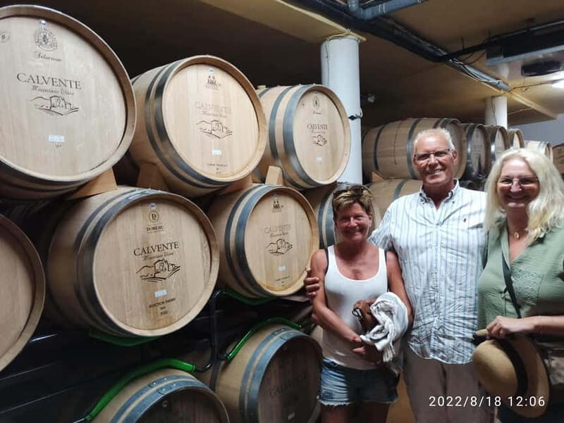 Malaga & Granada: Wine Tasting and Tapas with Resort Pickup - Deep Dive into the Experience