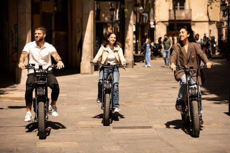 Malaga: Guided E-Fatbike Tour with Panoramic Views - Who Should Consider This Tour?