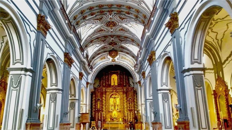 Málaga: Historic Center Tour with Local Guide - An In-Depth Look at Málaga’s Historic Center Tour