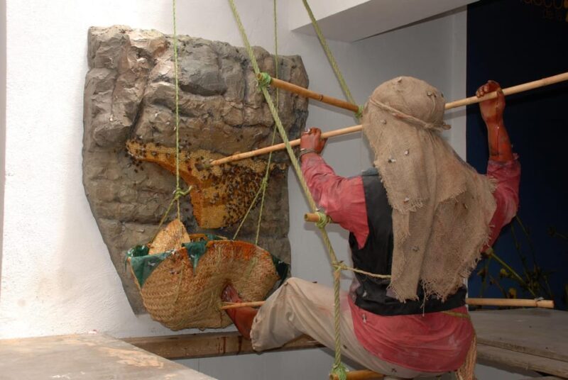 Malaga: Honey Museum and Hives Guided Tour with Tasting - Final Thoughts