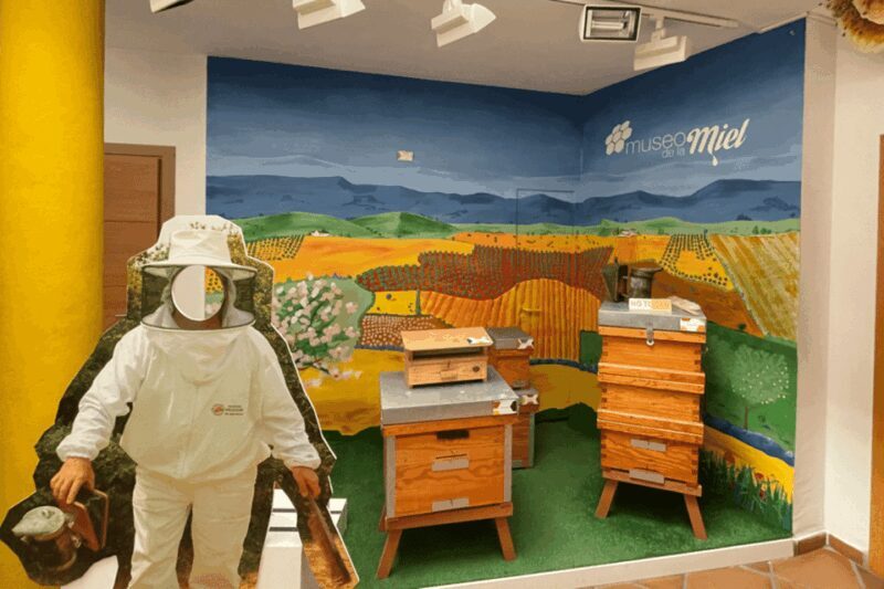 Malaga: Honey Museum Entry Ticket - An In-Depth Look at the Malaga Honey Museum