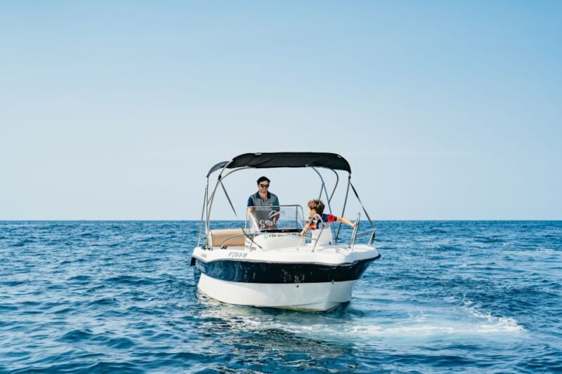 Malaga: License-free Boat Rental for Dolphin Watching - Ideal Buyers for This Experience
