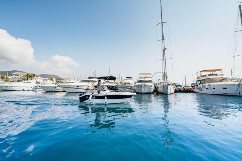 Malaga: License-free Boat Rental for Dolphin Watching - A Well-rounded Adventure for Sea Lovers and Nature Seekers