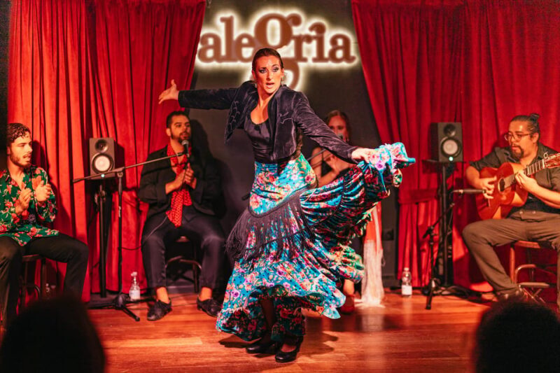 Málaga: Live Flamenco Show at Flamenco Alegría - The Venue and Its Accessibility