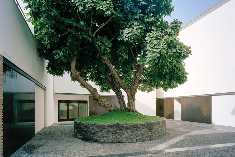 Málaga: Museo Picasso Málaga Entry Ticket - FAQ
