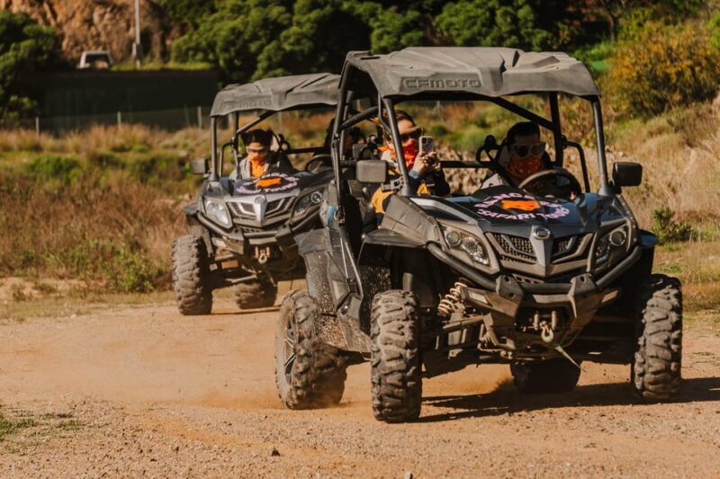 Málaga: Off-Road Buggy Tour in Mijas - What Reviewers Say
