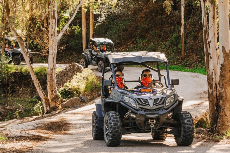 Málaga: Off-road Buggy Tour with Panoramic views of Mijas - Who Will Love This Tour?