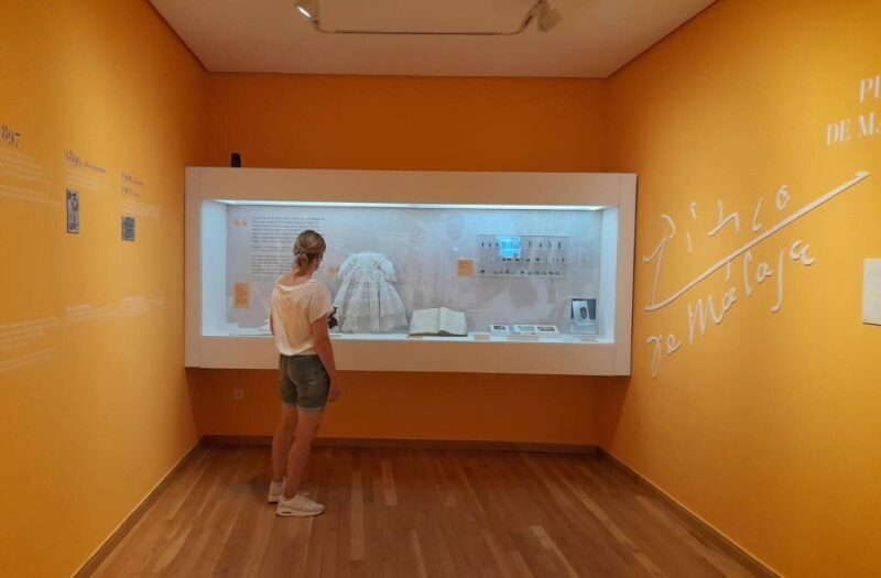 Málaga: Picasso Birthplace Museum Ticket & City Audio Guide - Is It Worth the Cost?