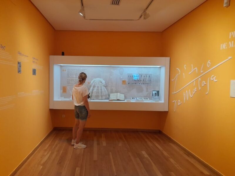 Malaga: Picassos Birthplace Museum Entrance Ticket - A Closer Look at What to Expect