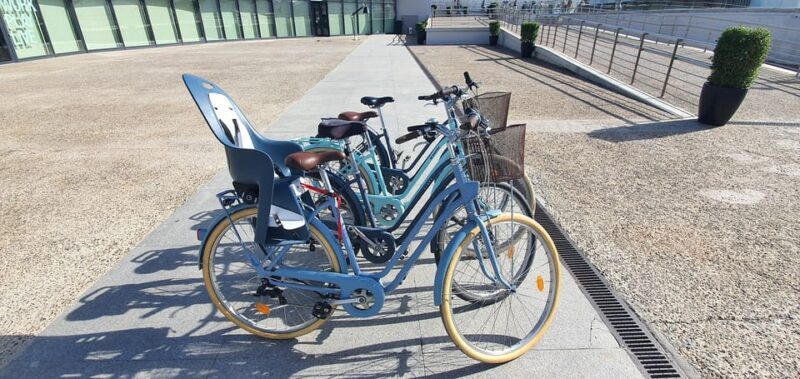 Malaga: Private Bike Rental - Introduction