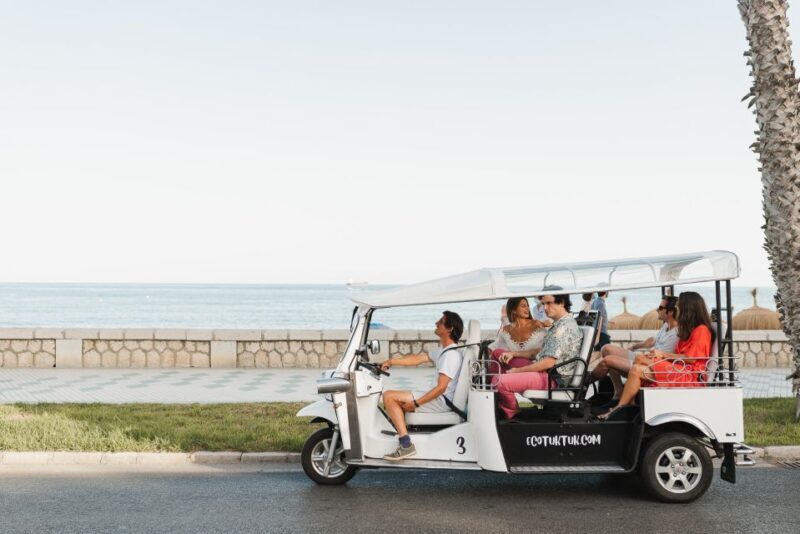 Malaga: Private City Tour by Eco Tuk Tuk - Why Choose the Malaga Eco Tuk Tuk Tour?