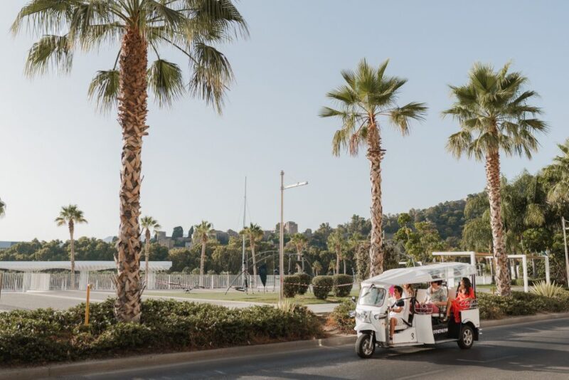 Malaga: Private City Tour by Eco Tuk Tuk - FAQs