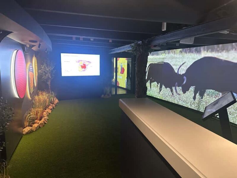 Malaga: Private Guided Tour of the Bullring and Immersive Museum - Discovering Hidden Corners