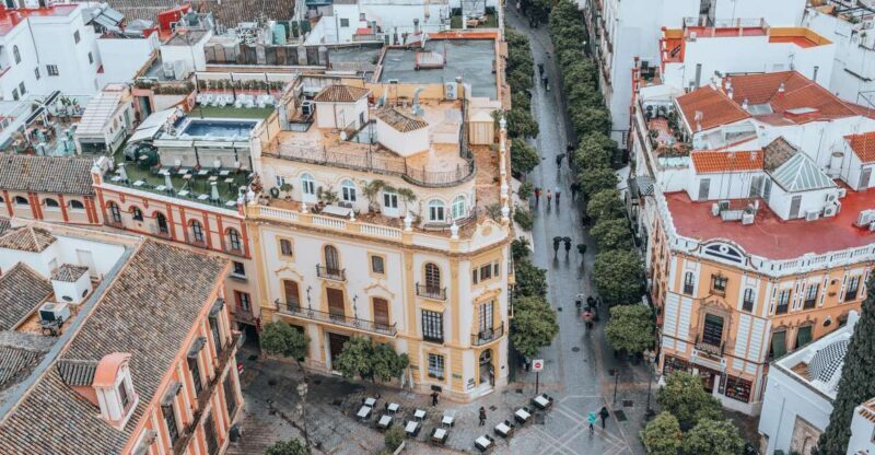 Malaga: Private Picasso Museum Tour - Key Points