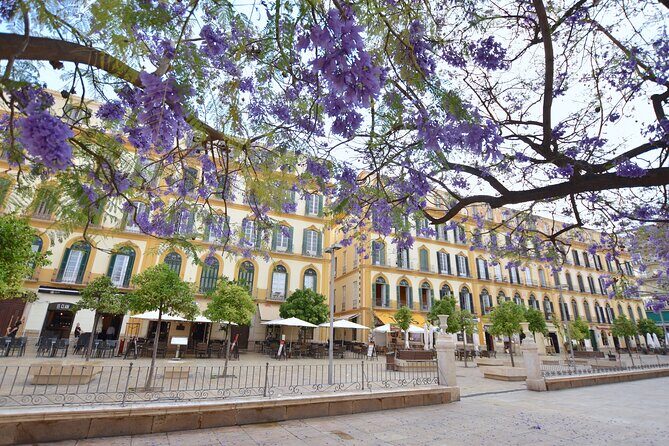 Malaga Private Walking Tour - Authentic Reviews and Real Experiences