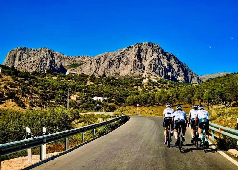 Málaga: Road Bike Tour with Guide and Bike Rental - The Itinerary: What You Can Expect