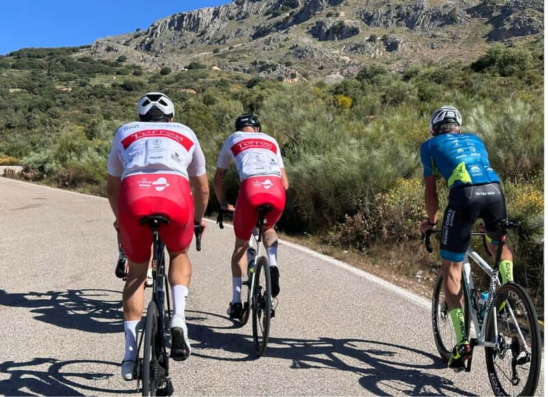 Málaga: Road Bike Tour with Guide and Bike Rental - The Guide: A Wealth of Local Knowledge