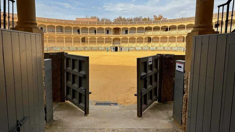 Malaga: Ronda and Setenil de las Bodegas Day Trip - The Journey Begins: Comfort and Convenience