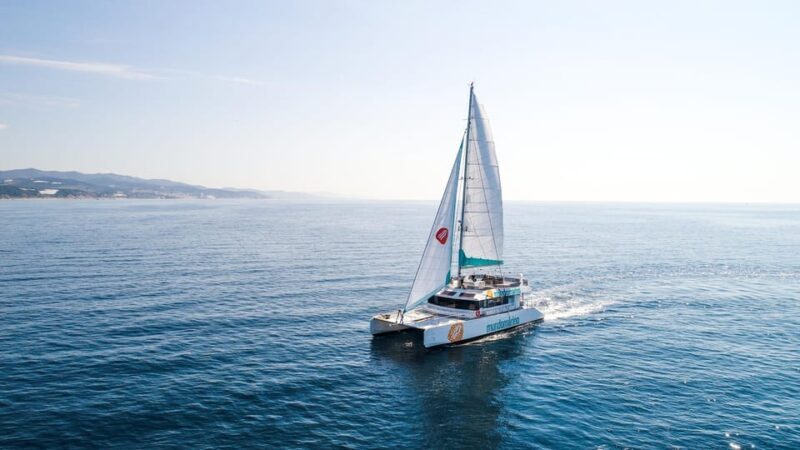 Malaga: Sailing Catamaran with Swimming and Paella Lunch - An In-Depth Look at the Malaga Catamaran Experience