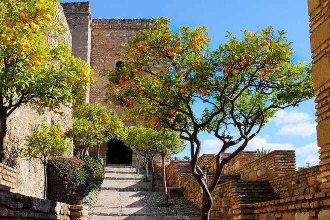 Malaga Super Tour - What to Expect: The Details That Matter