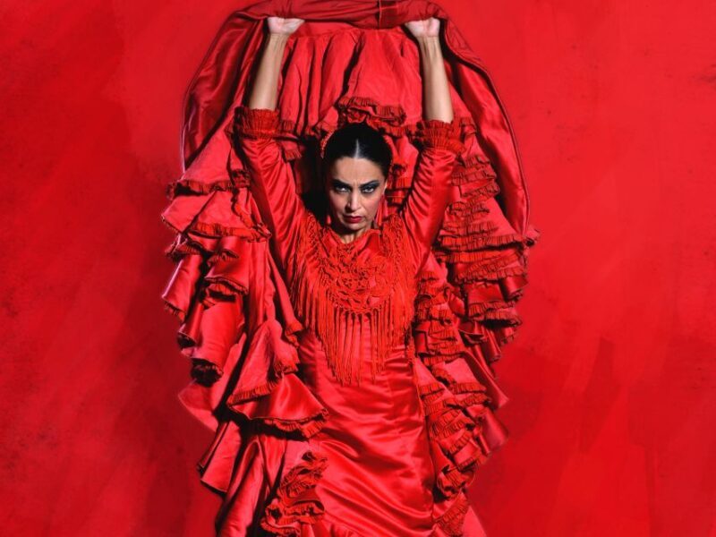 Malaga: Teatro Flamenco Malaga Live Flamenco Show - A Deep Dive into the Flamenco Experience