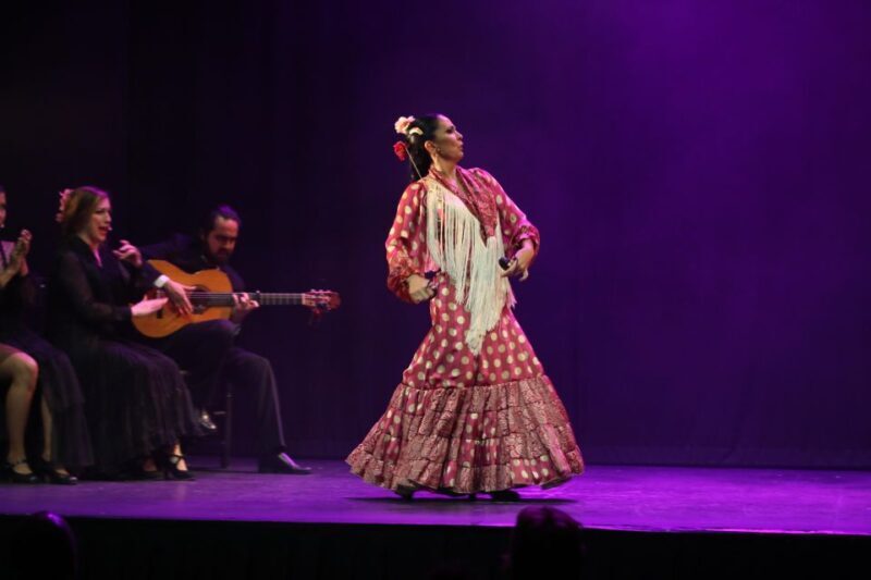 Malaga: Teatro Flamenco Malaga Live Flamenco Show - Who Will Love This Show?