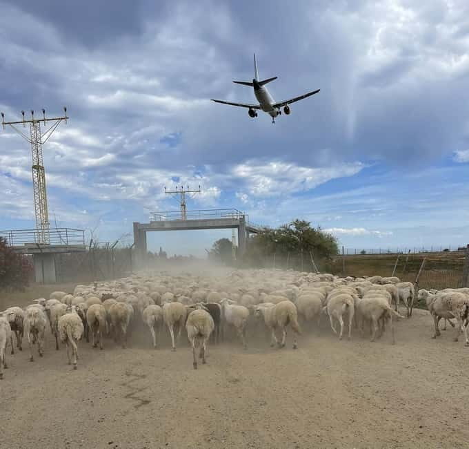 Málaga: Tour 2-Hours Solo All-Terrain Quad Adventure - FAQs