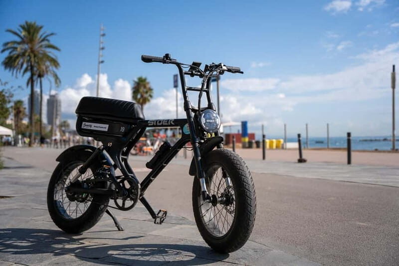 Malaga: Up to 8 hour Electric Fatbike Rental - The Ride: Scenic Highlights and Practical Tips